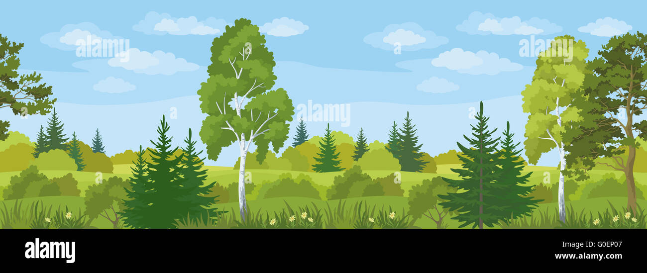 Seamless Horizontal Landscape, Summer Forest Stock Photo - Alamy