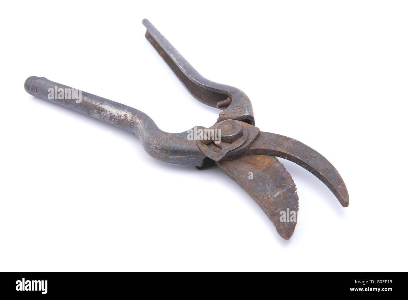 Old rusty garden pruner on the white background Stock Photo - Alamy