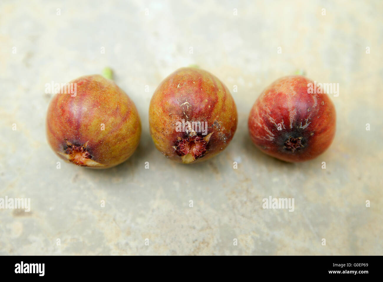 Red Sicilian fig or ficus carica variety. Selective focus for deep of ...