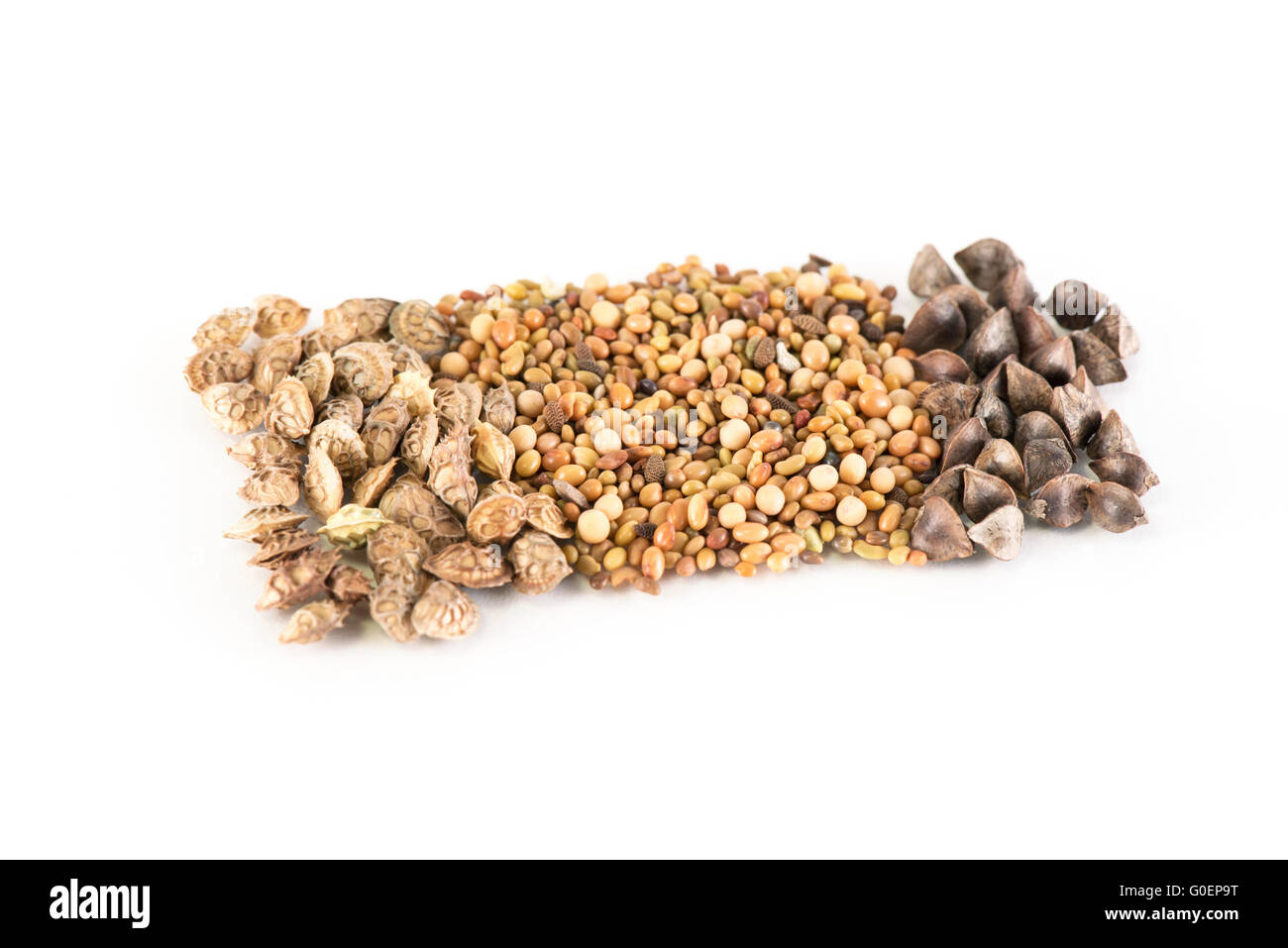 Seeds mix on white background Stock Photo - Alamy