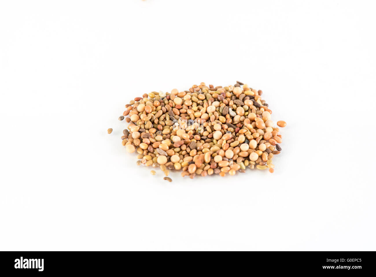 Tiny brown seeds Cut Out Stock Images & Pictures - Alamy