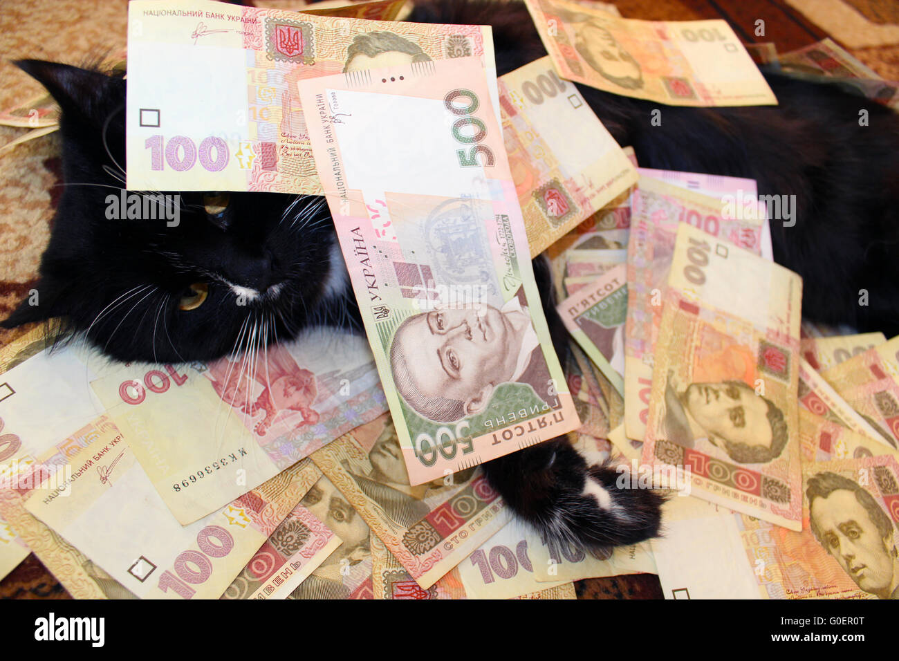 Money Cat Stock Photos & Money Cat Stock Images - Alamy