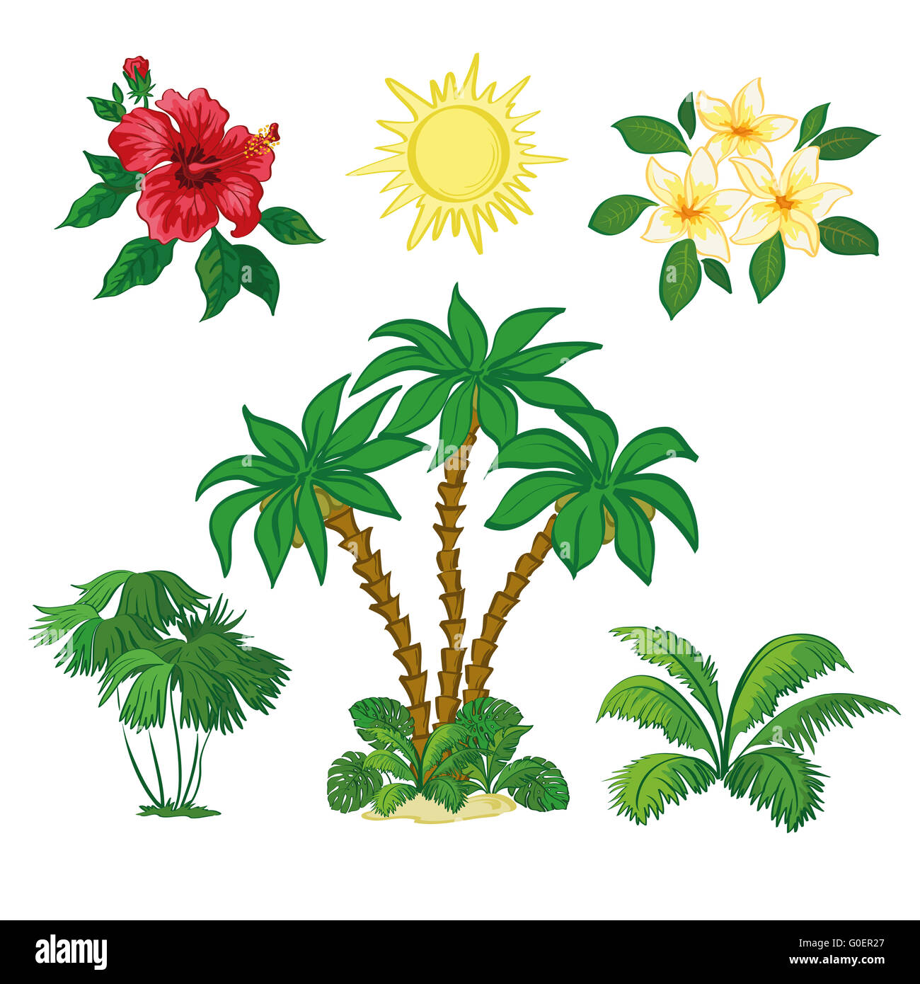 Green coco palm trees Cut Out Stock Images & Pictures - Alamy