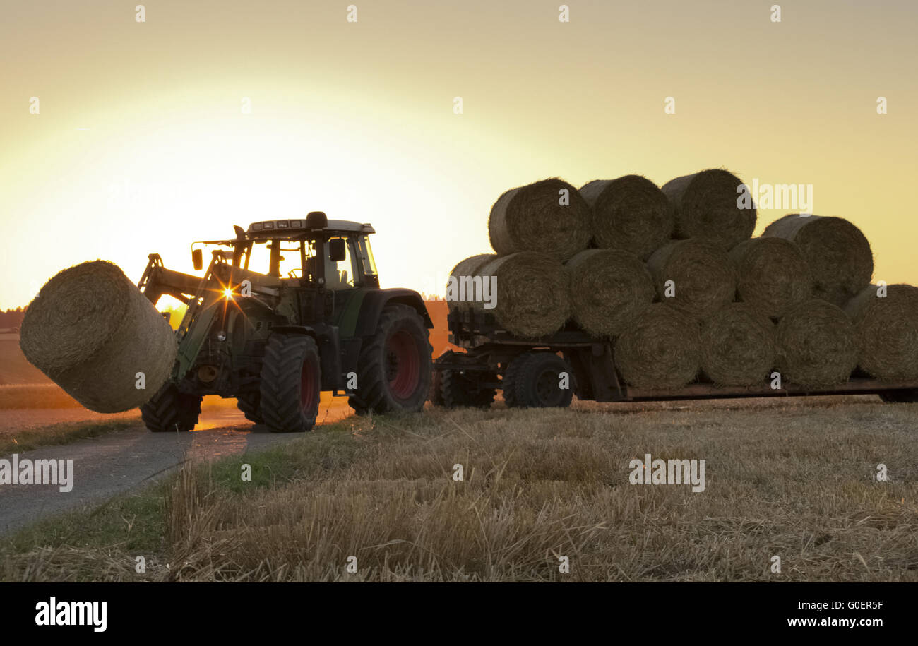 Tractor at work Stock Photo - Alamy