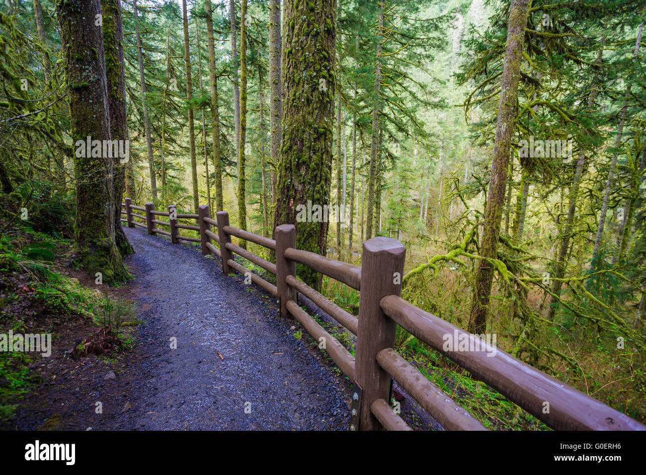 South Loop Trail, part of the Trail of Ten Falls at Silver Falls State ...