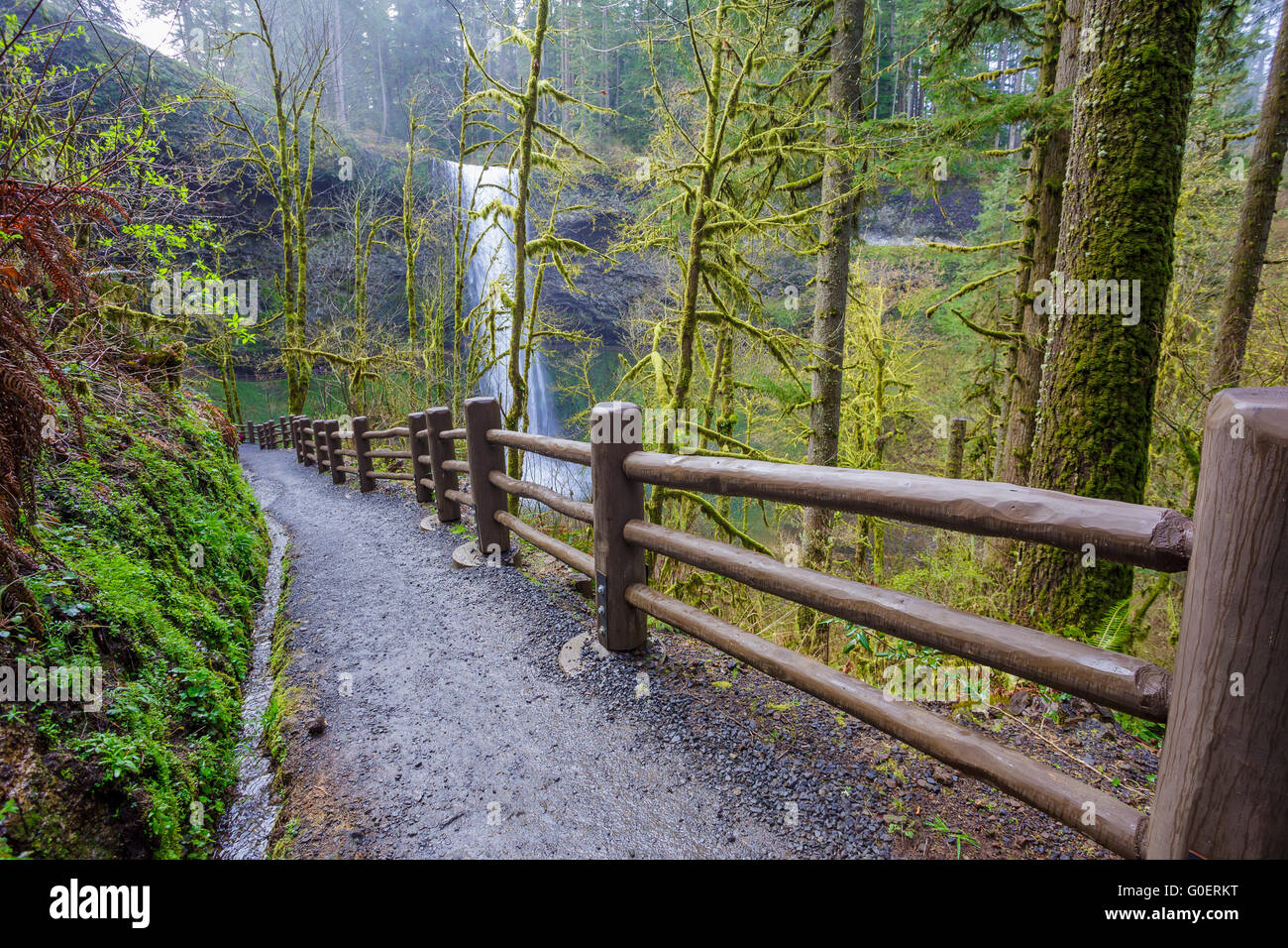 South Loop Trail, part of the Trail of Ten Falls at Silver Falls State ...