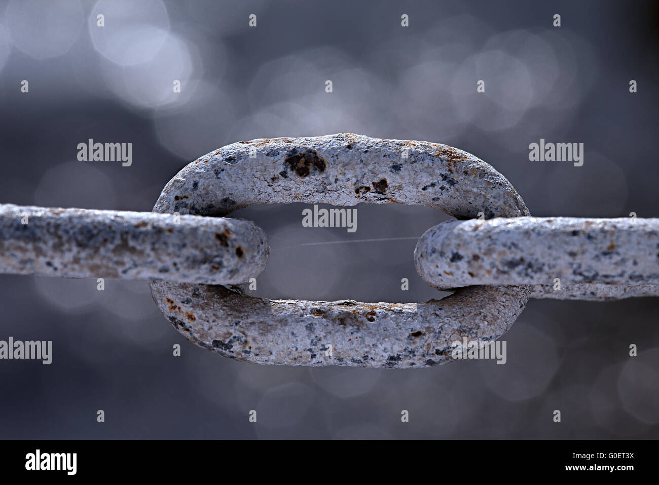 Rusty Chain Links with Spider Web Stock Photo - Alamy