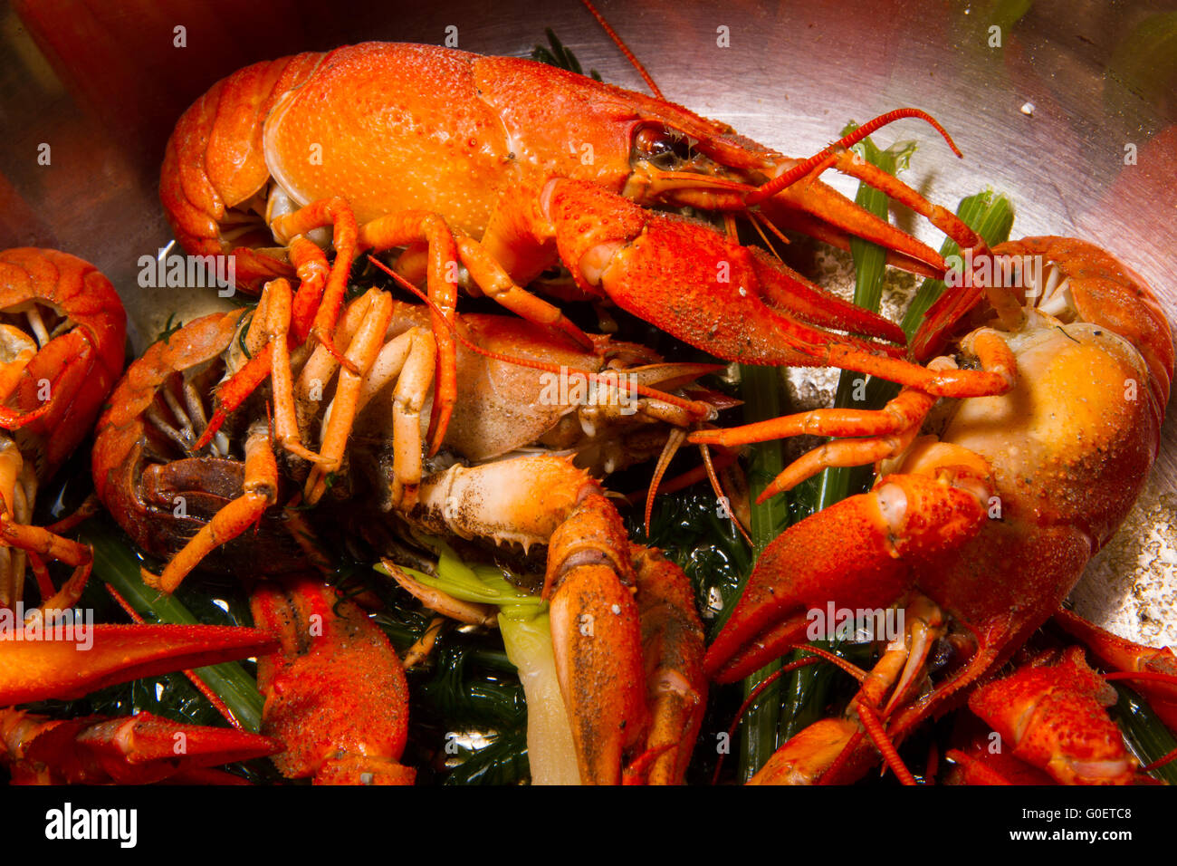 Fish cultivation hi-res stock photography and images - Alamy