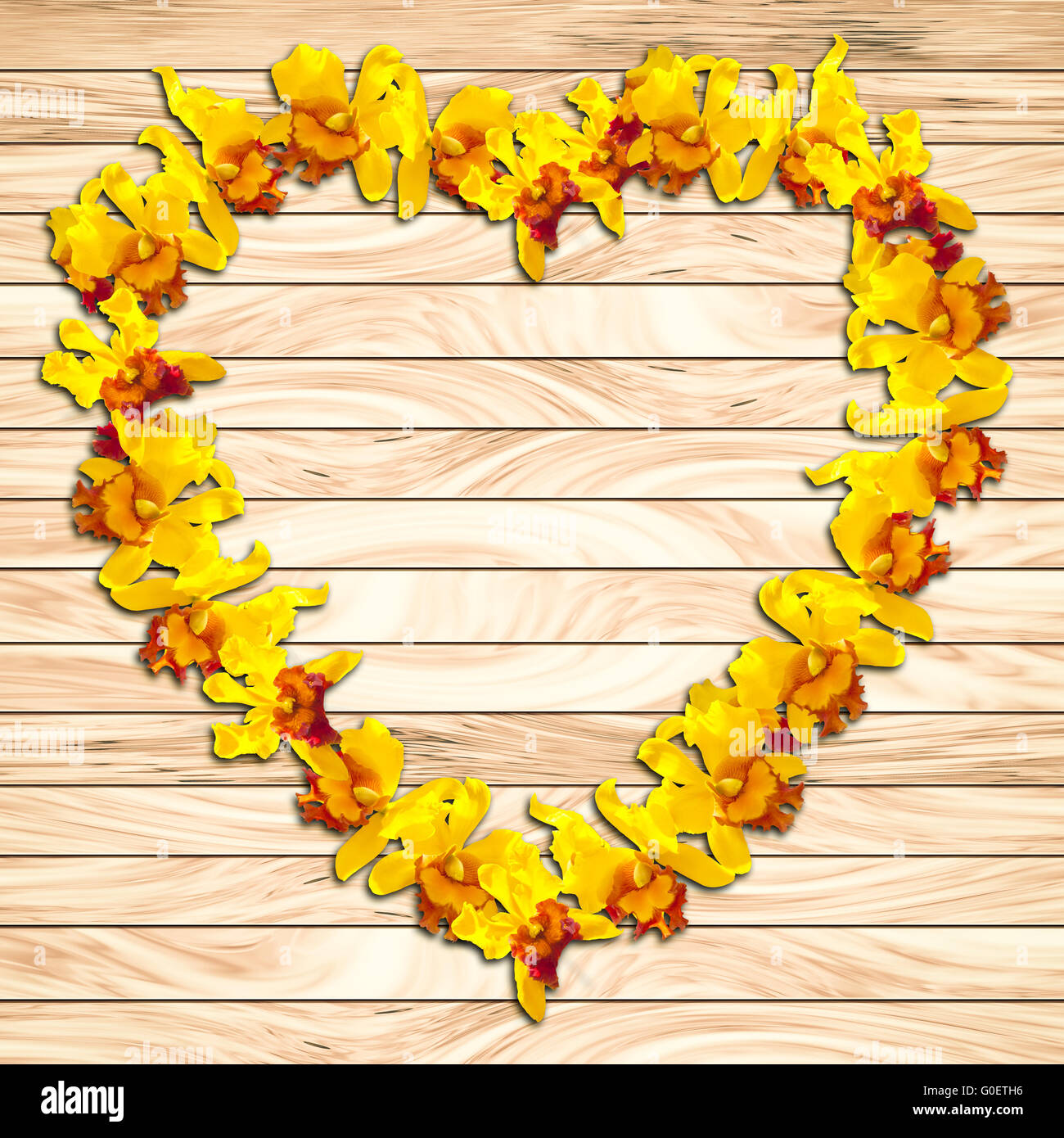 Brown and yellow orchid hi-res stock photography and images - Alamy