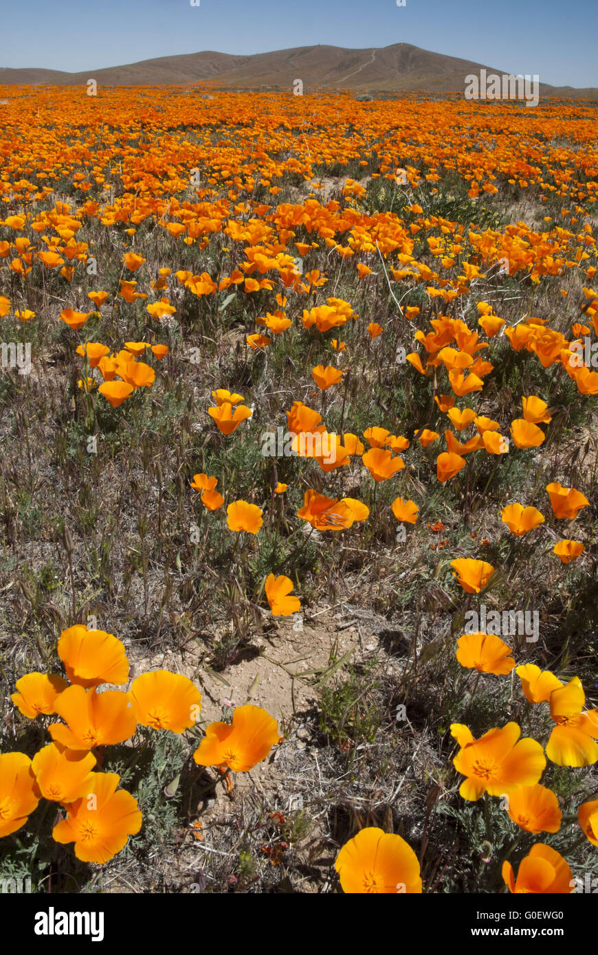 0052 hi-res stock photography and images - Alamy