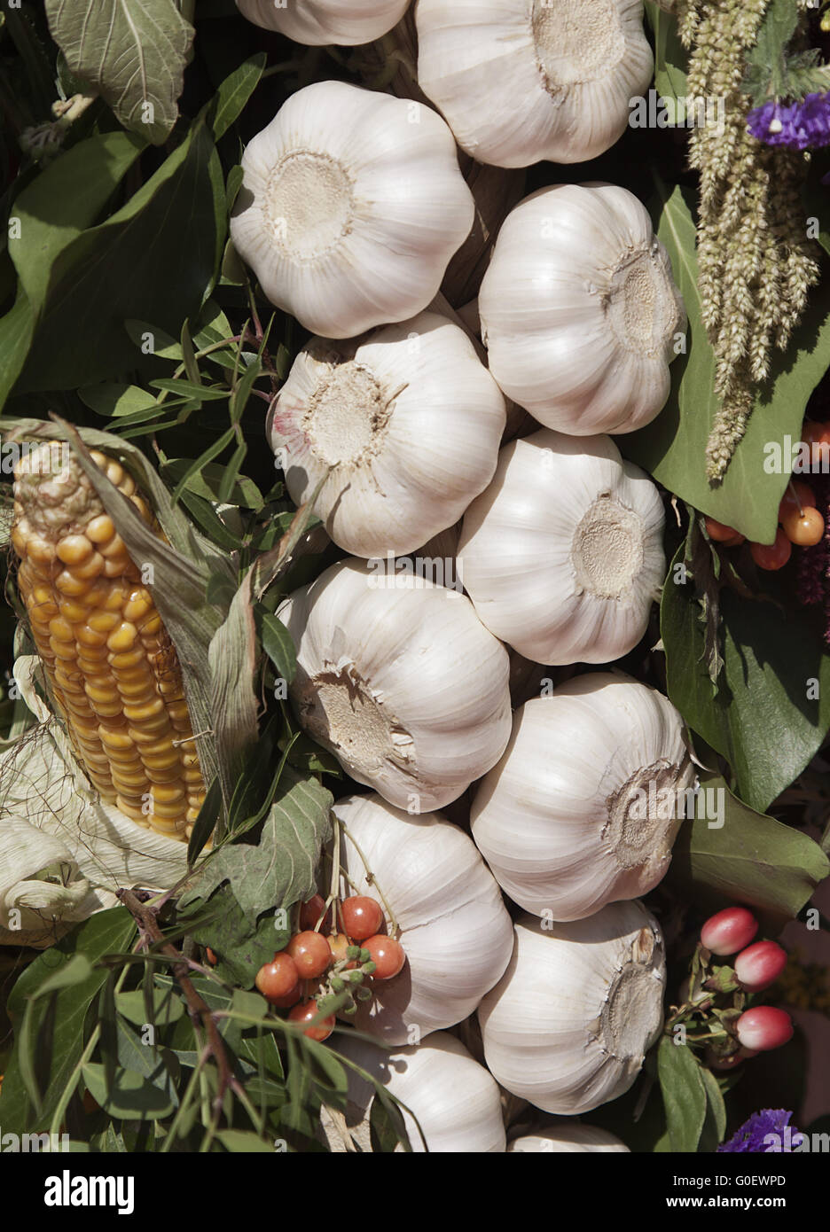 Decorative plaited white garlic hi-res stock photography and images - Alamy