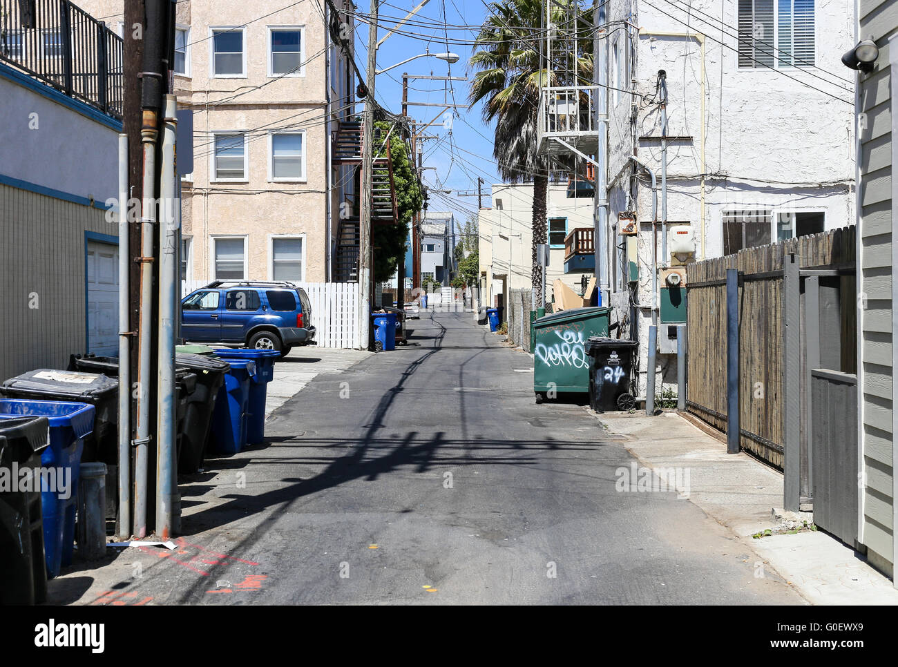 Power Pole Palm Tree High Resolution Stock Photography and Images - Alamy