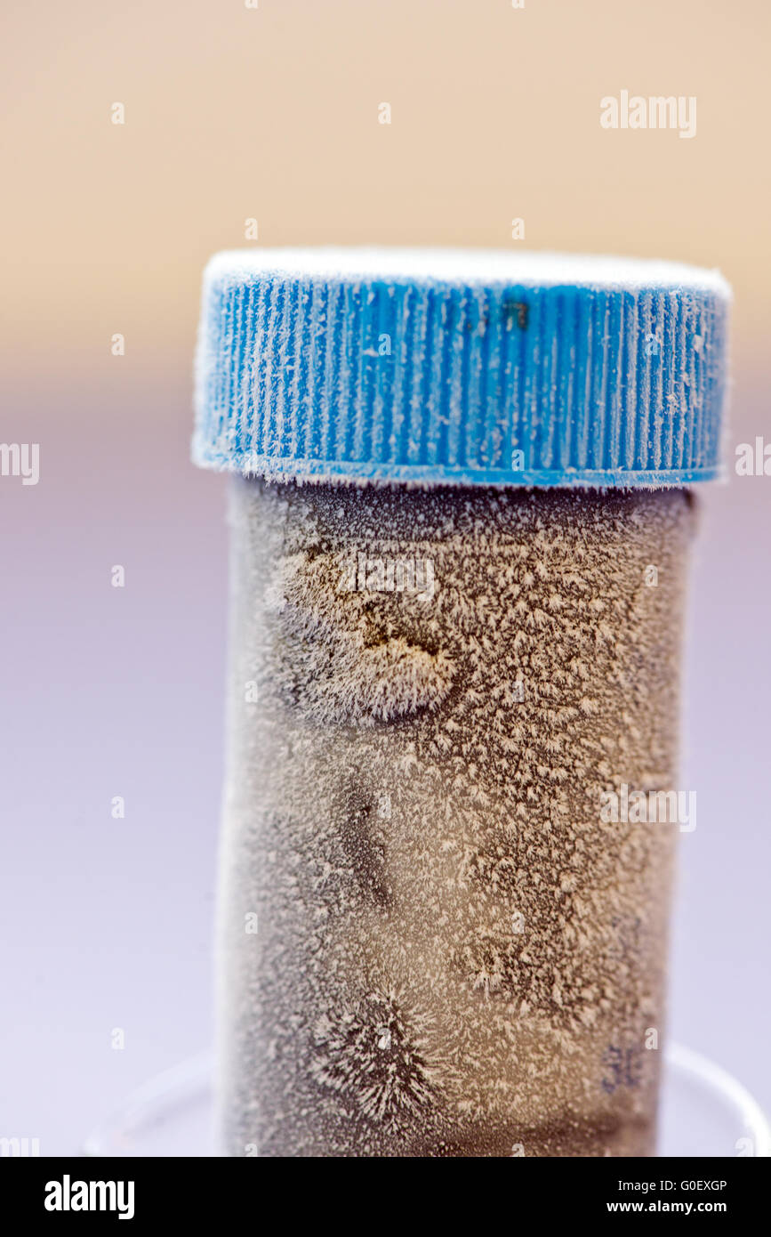 Sample vial hi-res stock photography and images - Alamy