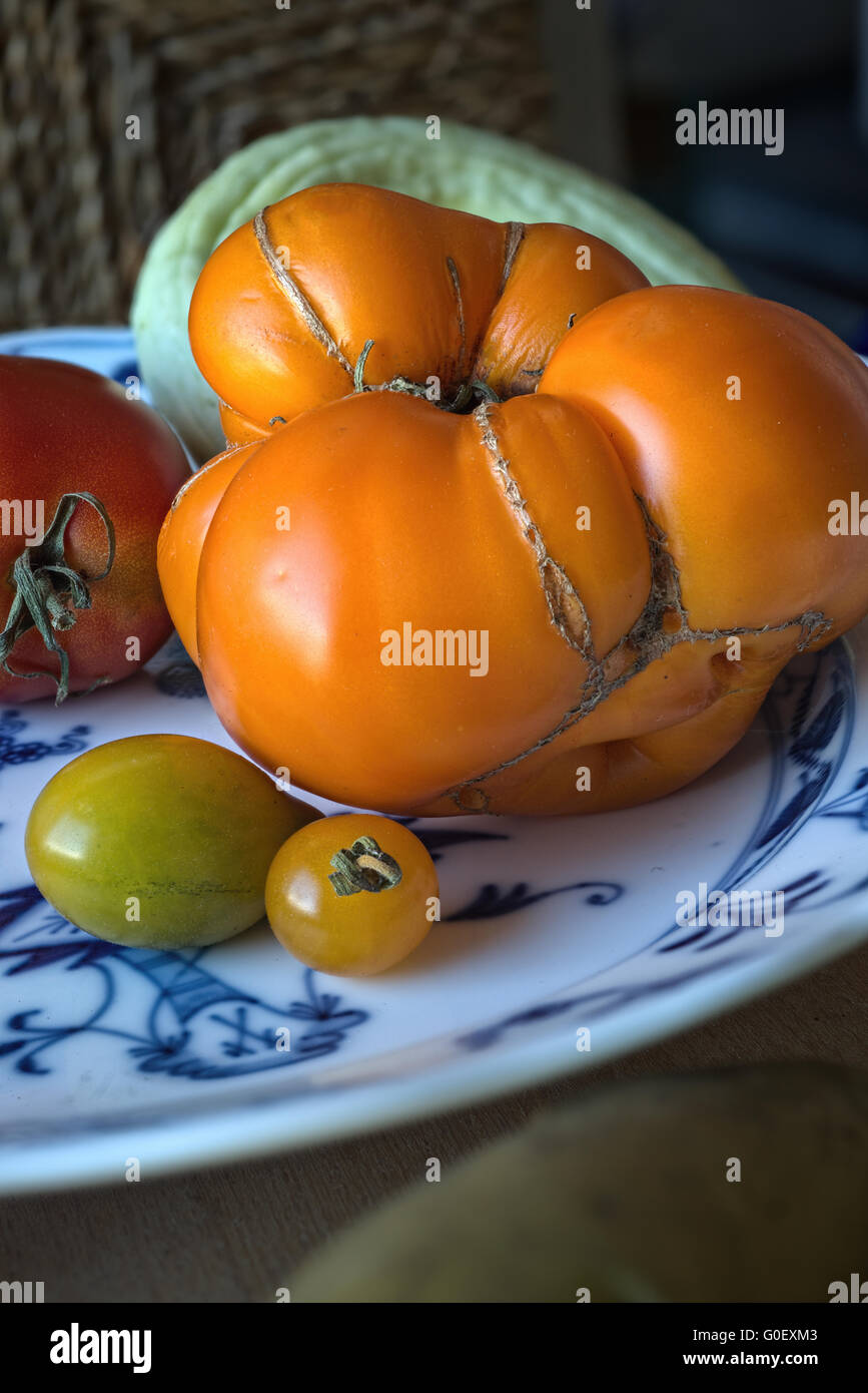 Ancient Tomatoes High Resolution Stock Photography and Images - Alamy