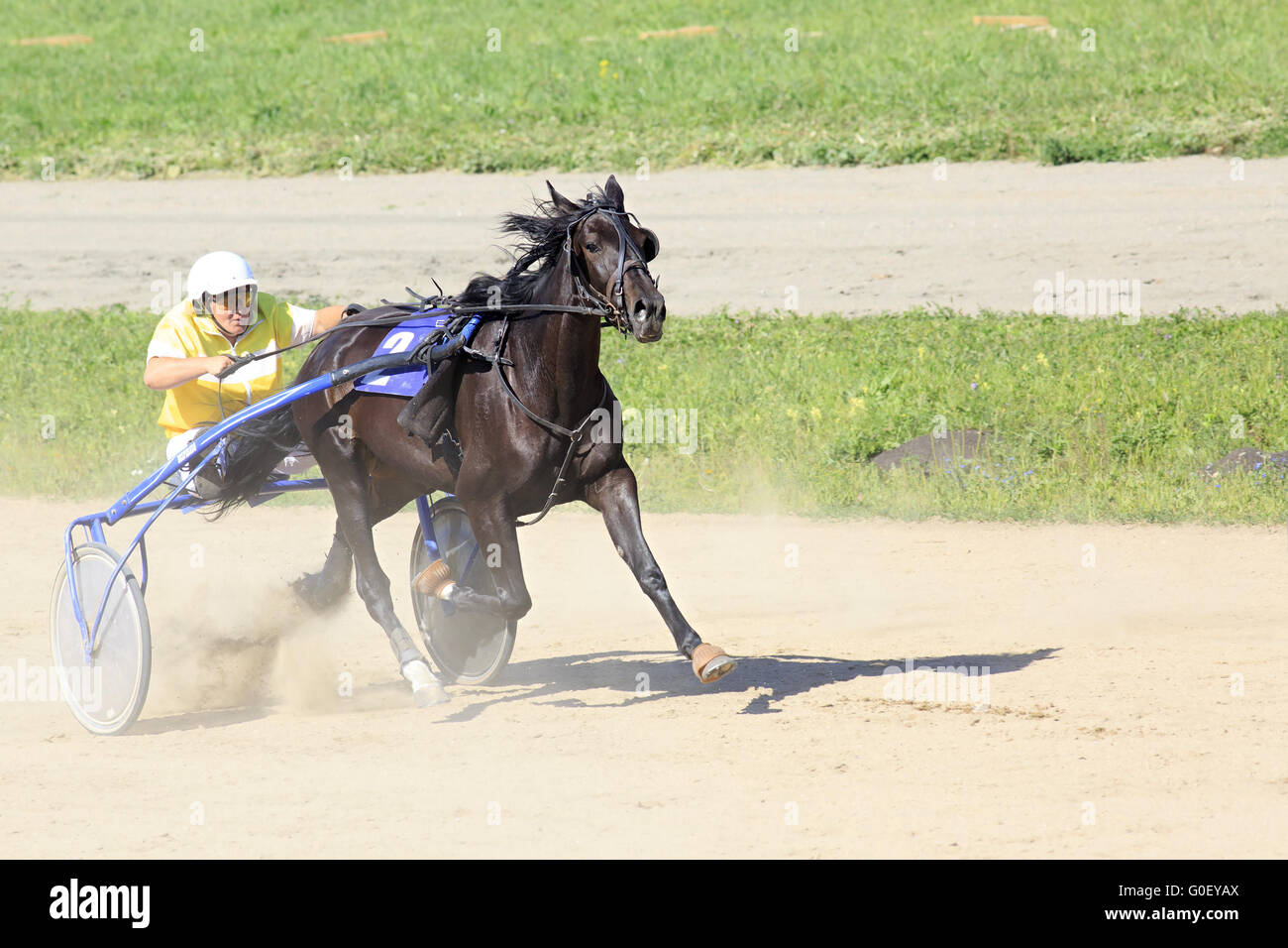 Trotting Races at the Hippodrome Sibirskoe podvorie Stock Photo - Alamy
