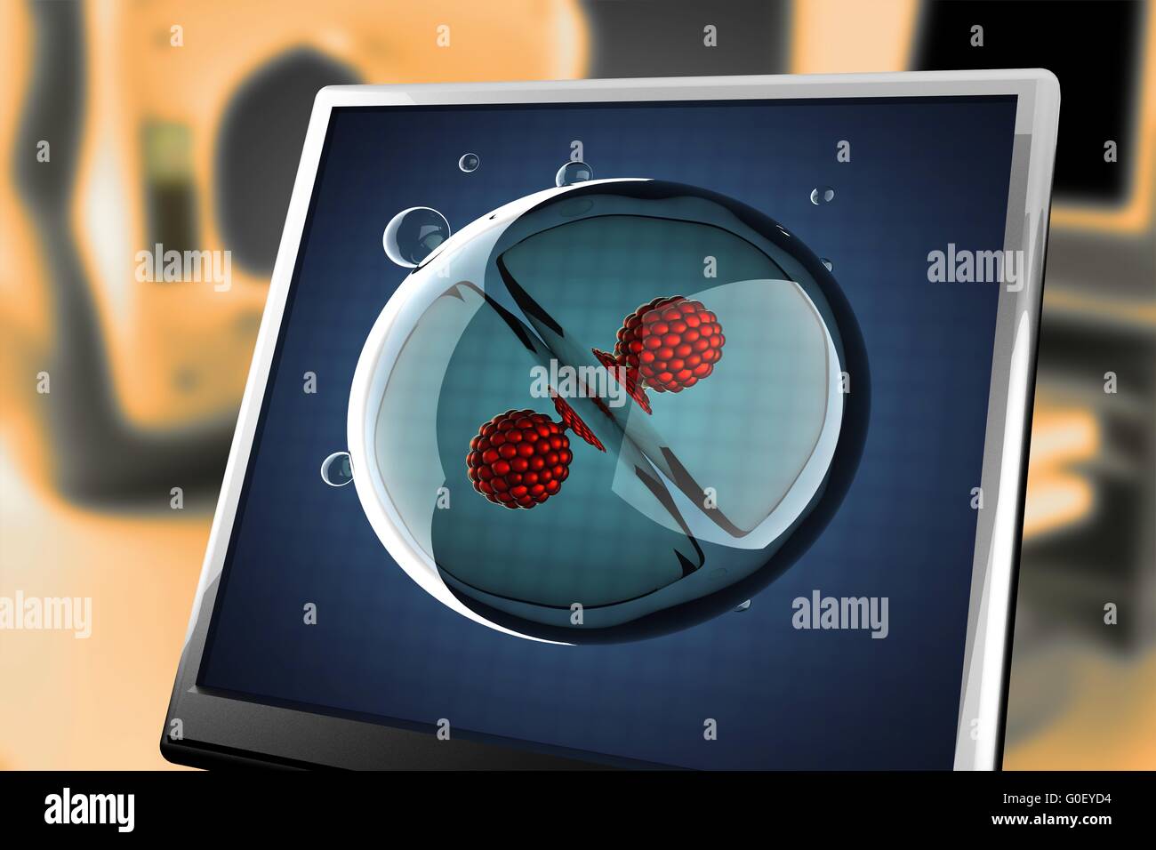 Embryo growth and development hi-res stock photography and images - Alamy