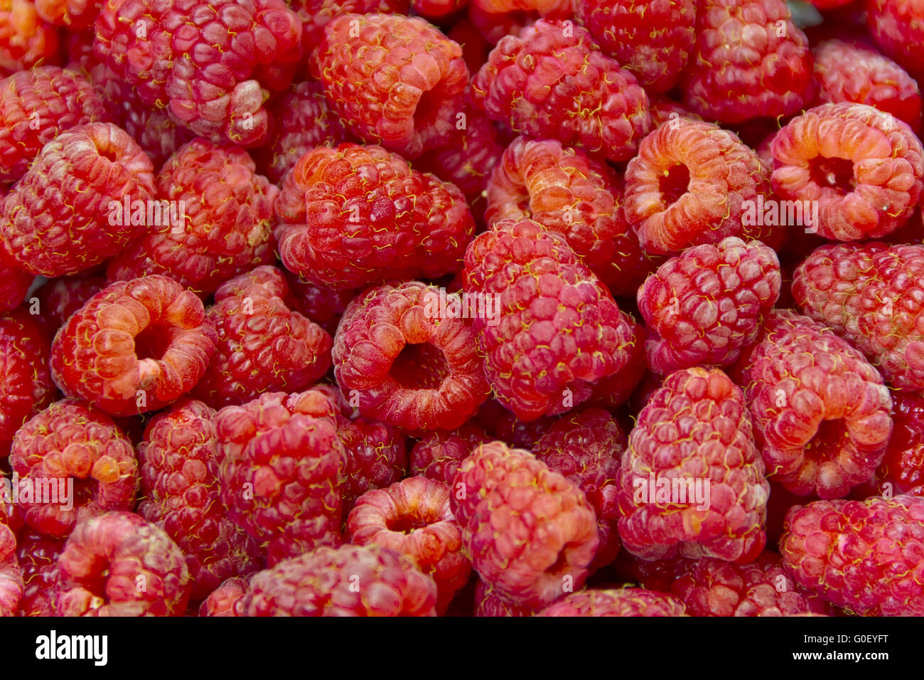 Healthy raspberry hi-res stock photography and images - Alamy