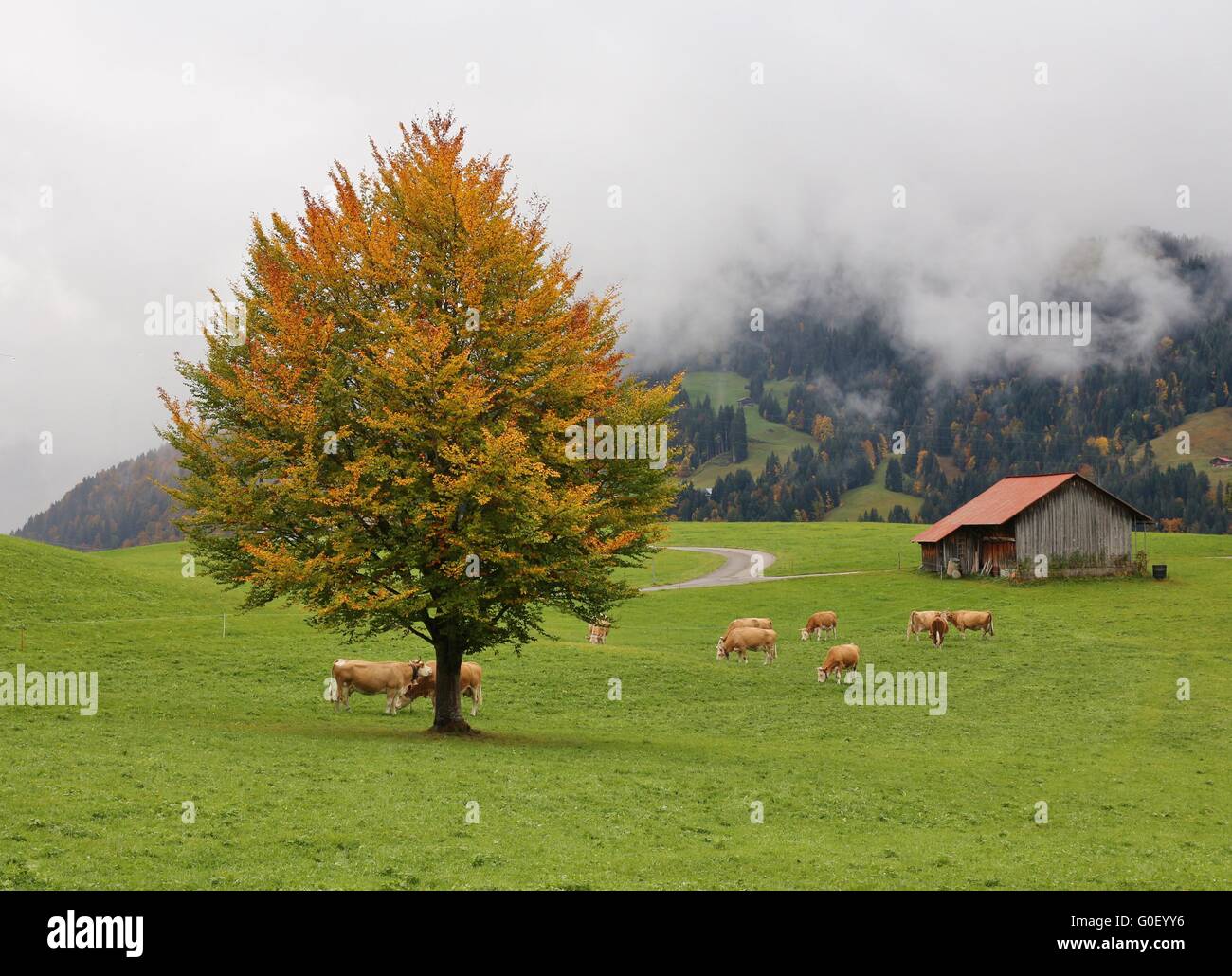 Idyllic autumn scene in Gstaad, Swiss Alps Stock Photo - Alamy