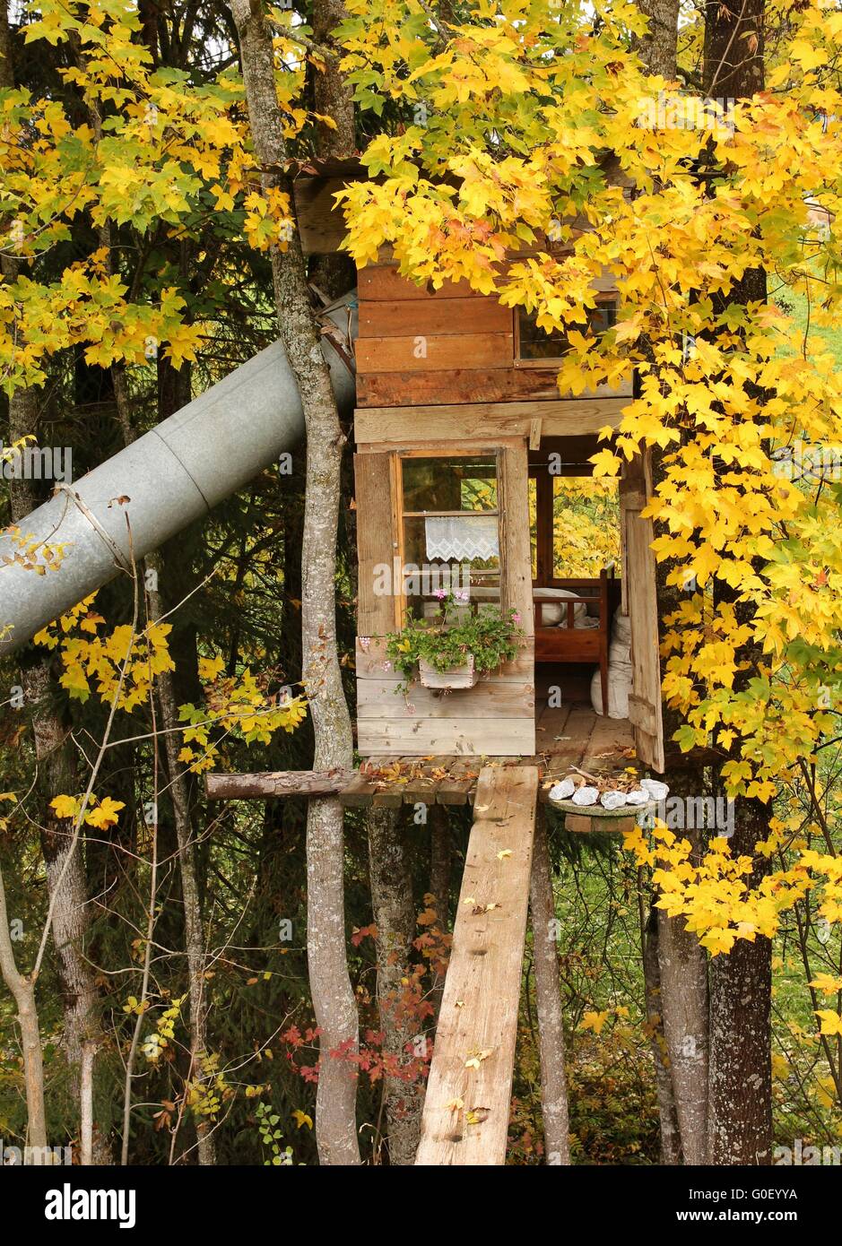 Little tree house with bed and slide Stock Photo - Alamy