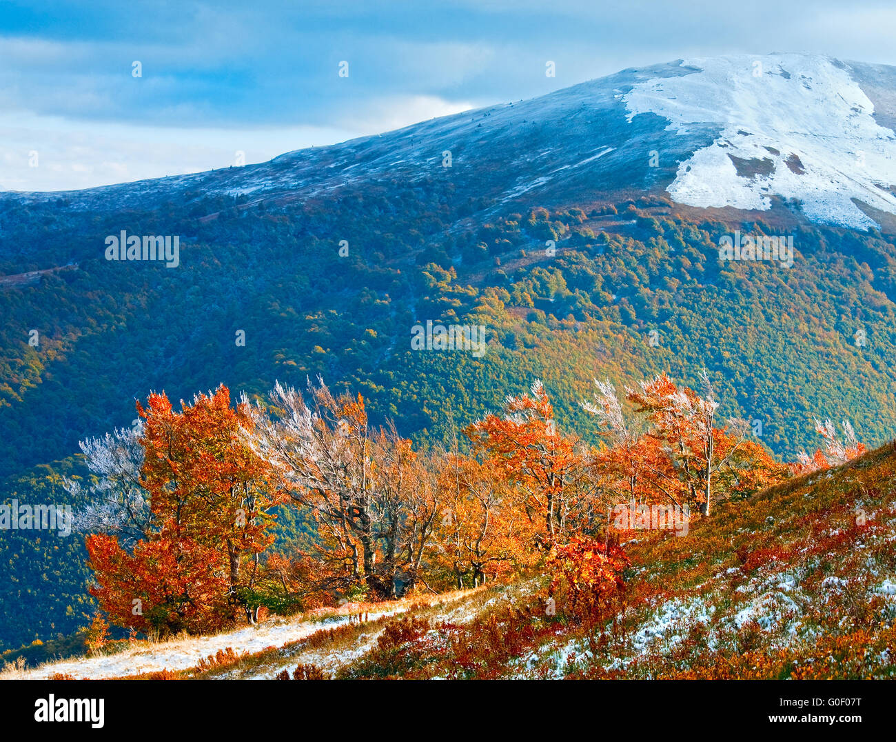 First winter snow and autumn colourful foliage on mountain Stock Photo ...