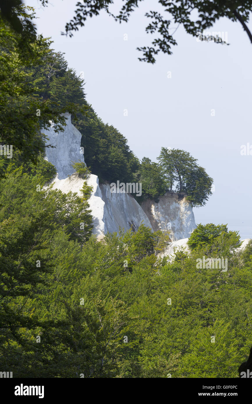 Trees and limestone cliffs Stock Photo - Alamy