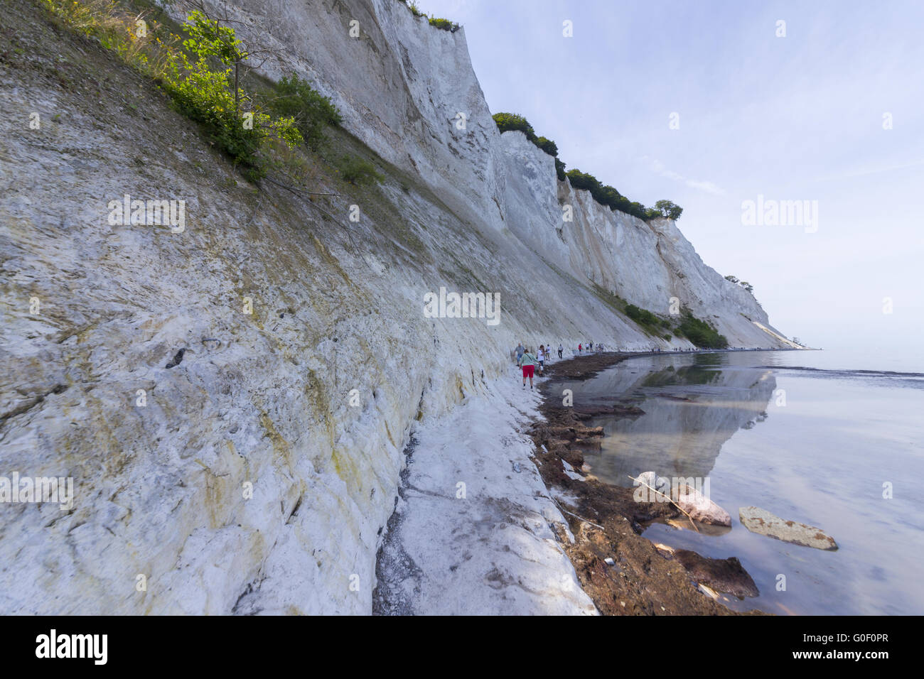 Limestone coast Moen Klint Stock Photo - Alamy