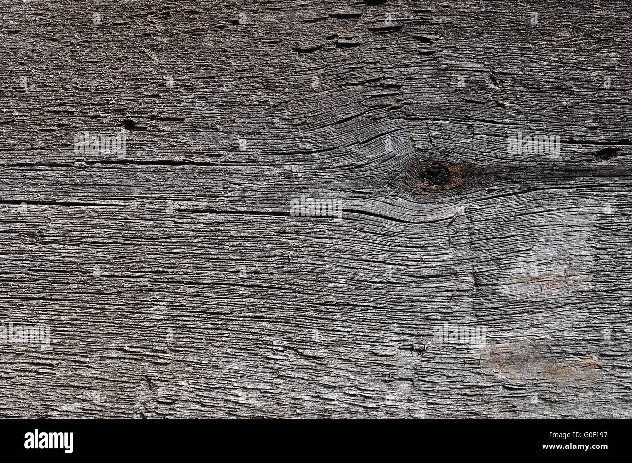 Timber element hi-res stock photography and images - Alamy