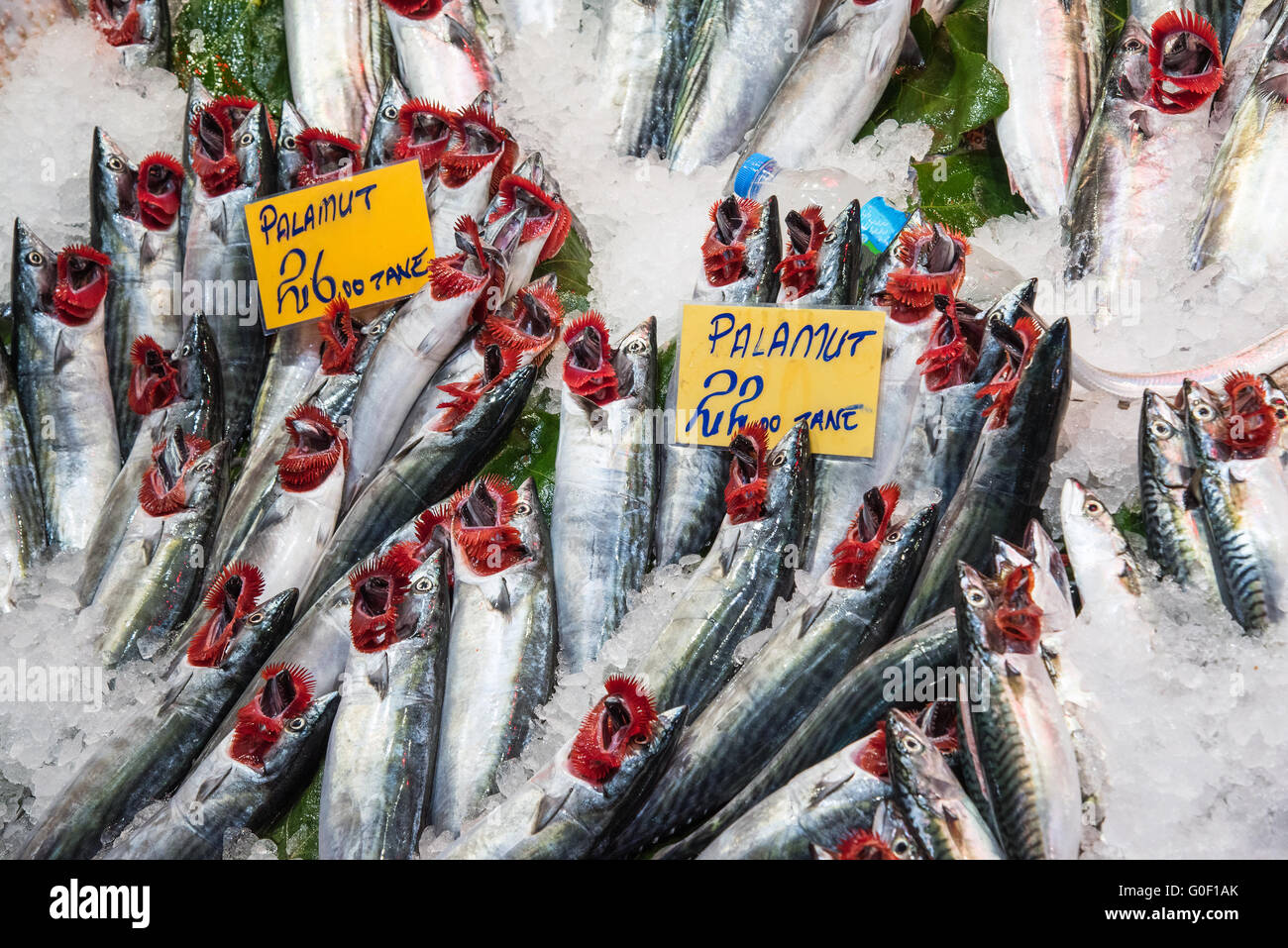Fresh fish istanbul hi-res stock photography and images - Alamy