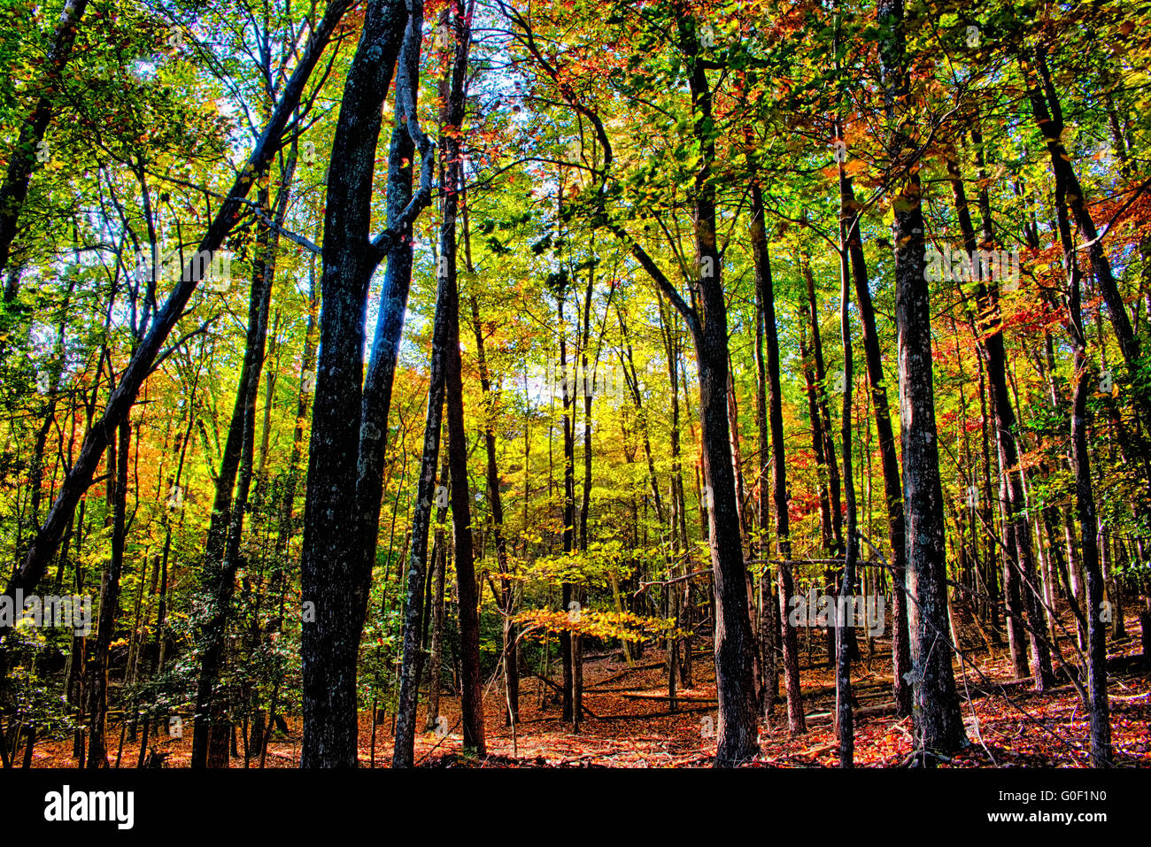 stone mountain north carolina scenery during autumn season Stock Photo ...