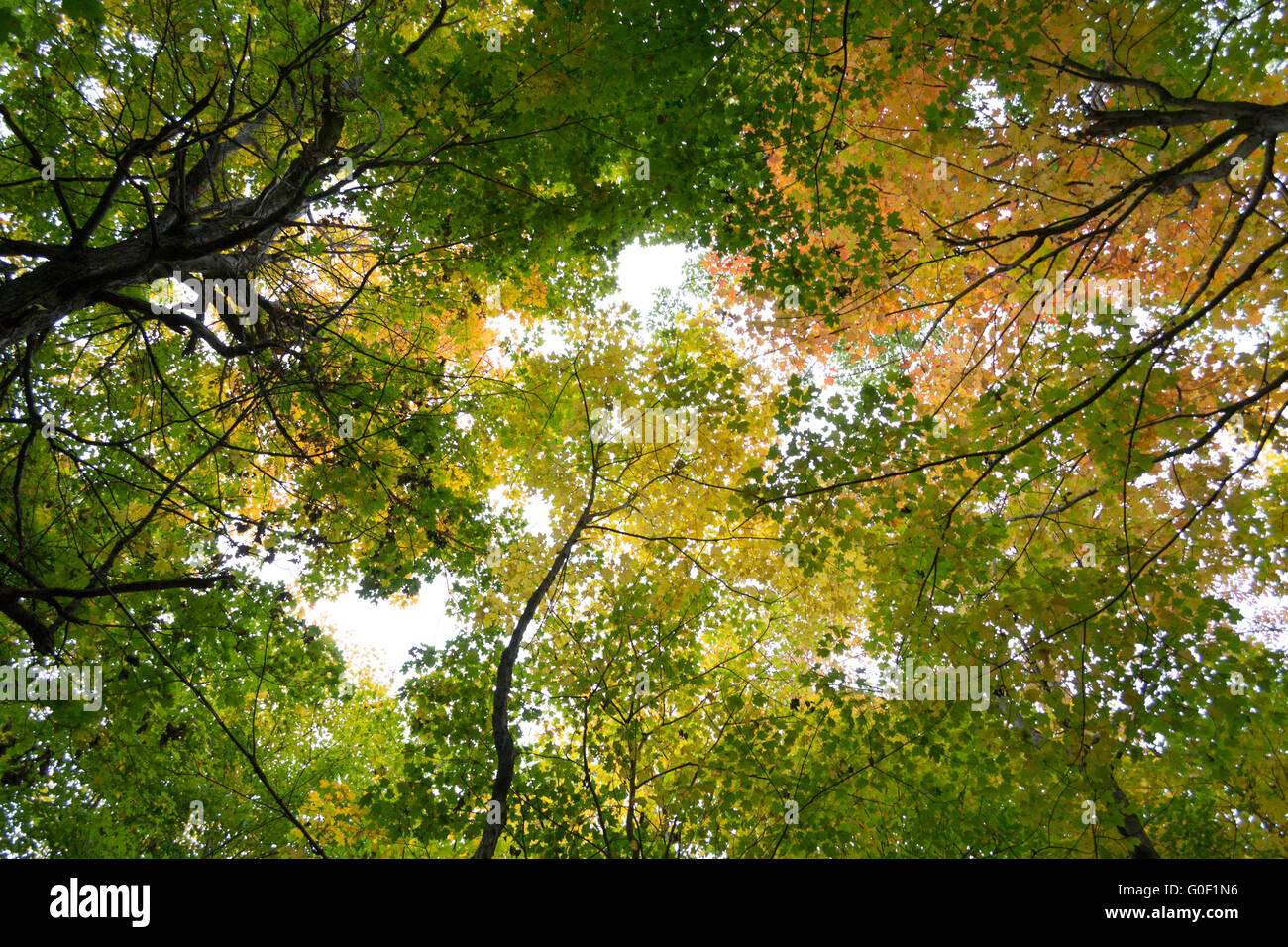 Hudson valley during fall hi-res stock photography and images - Alamy