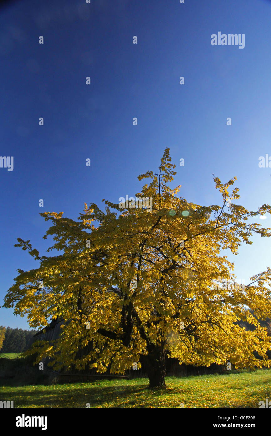Warm colours hi-res stock photography and images - Alamy