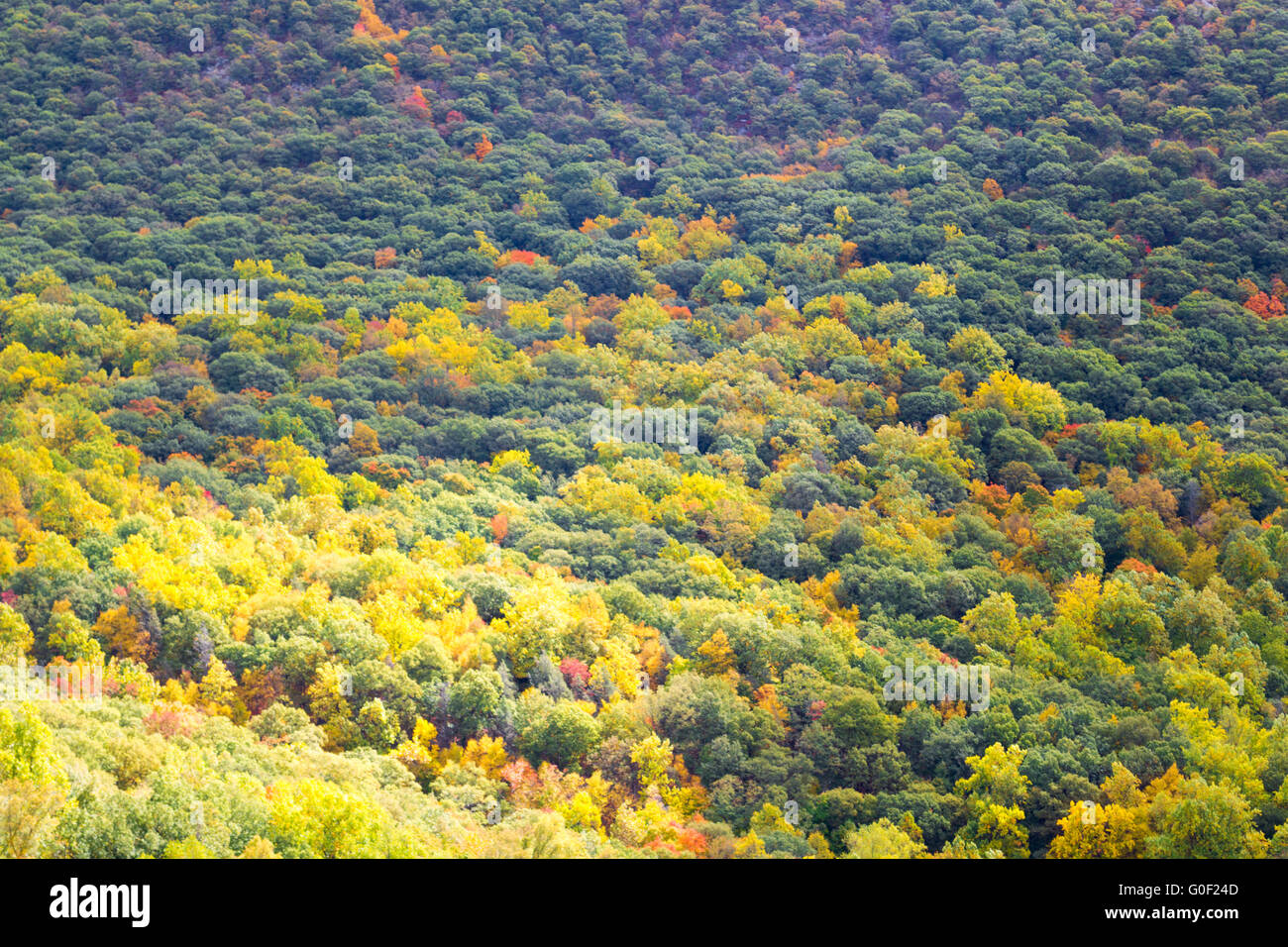 Hudson valley autumn ridge hi-res stock photography and images - Alamy