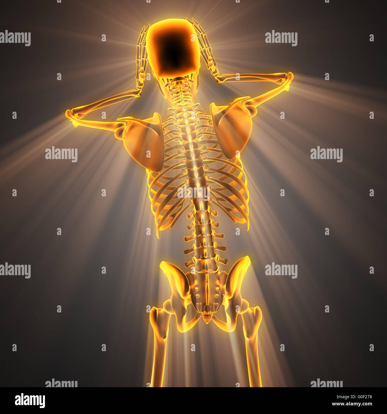 human bones radiography scan image Stock Photo - Alamy