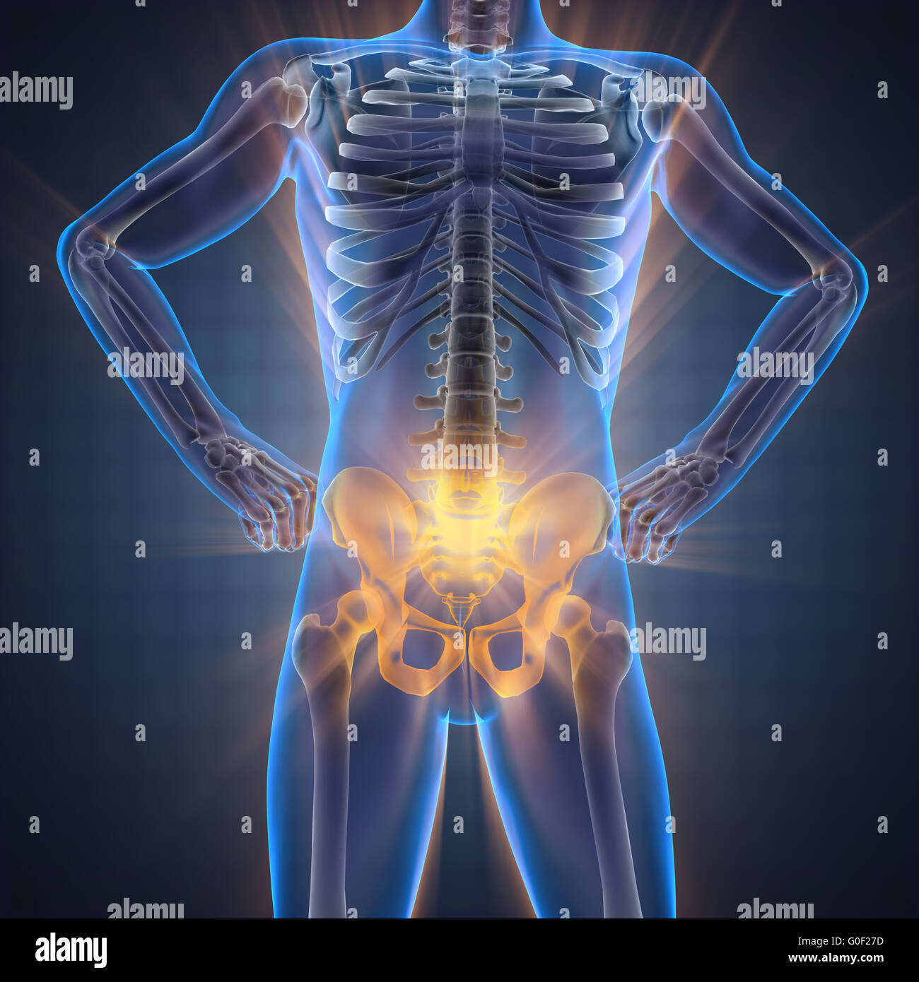 human bones radiography scan image Stock Photo - Alamy