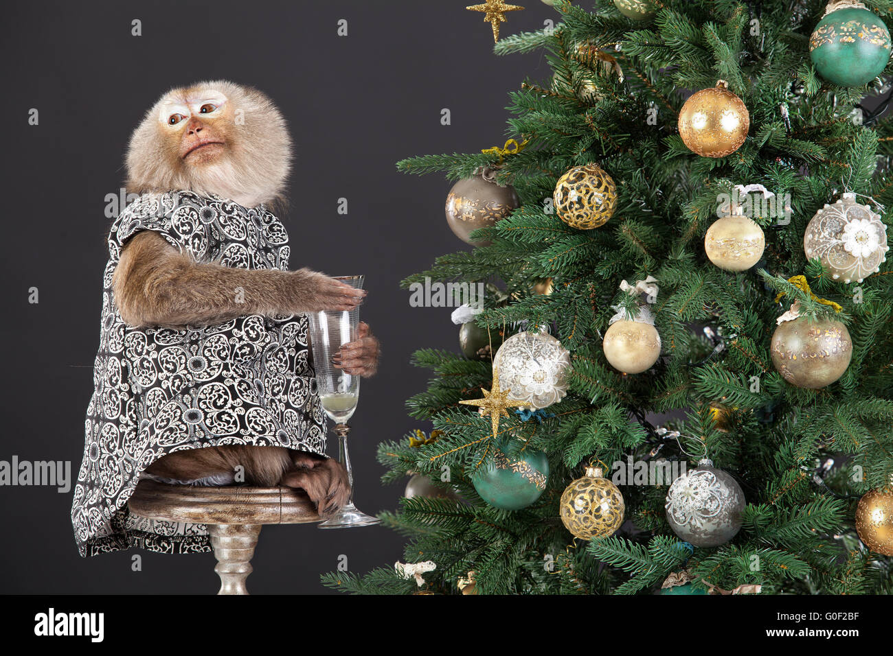 Little Monkey And The New Year's Tree Stock Photo - Alamy