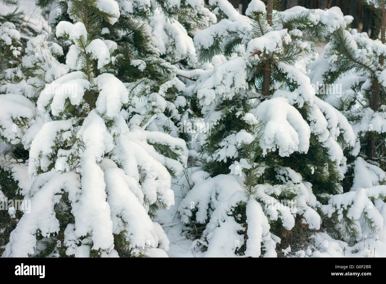 Santa winter scene hi-res stock photography and images - Alamy