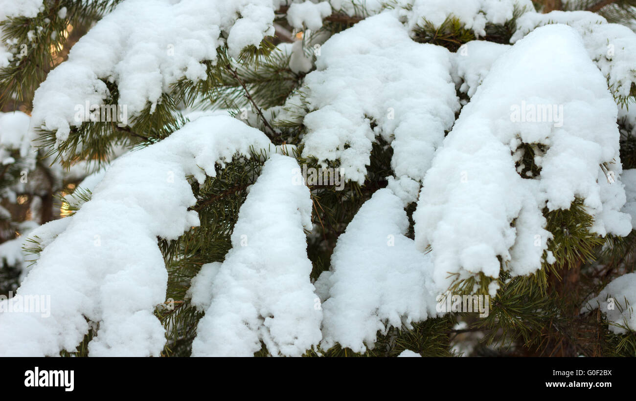 Santa winter scene hi-res stock photography and images - Alamy