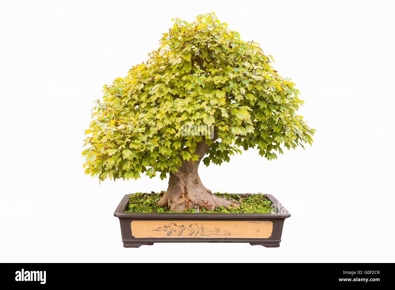 Traditional asian art Cut Out Stock Images & Pictures - Alamy