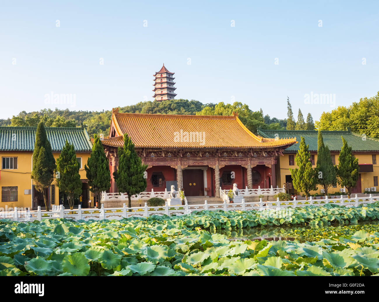Donglin buddha hi-res stock photography and images - Alamy