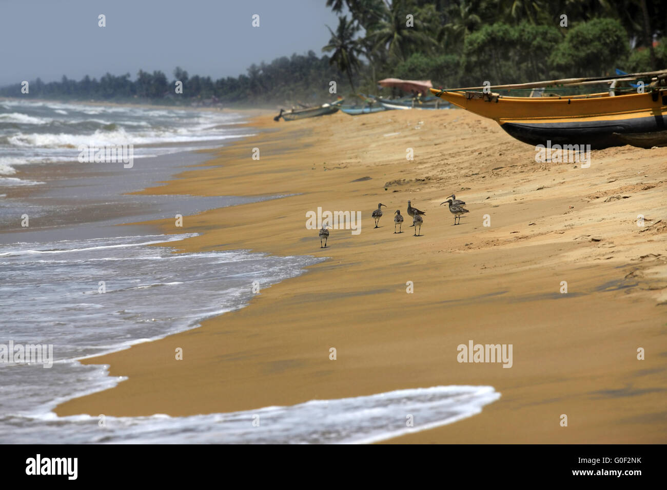 Tropical paradise idyllic beach Stock Photo - Alamy