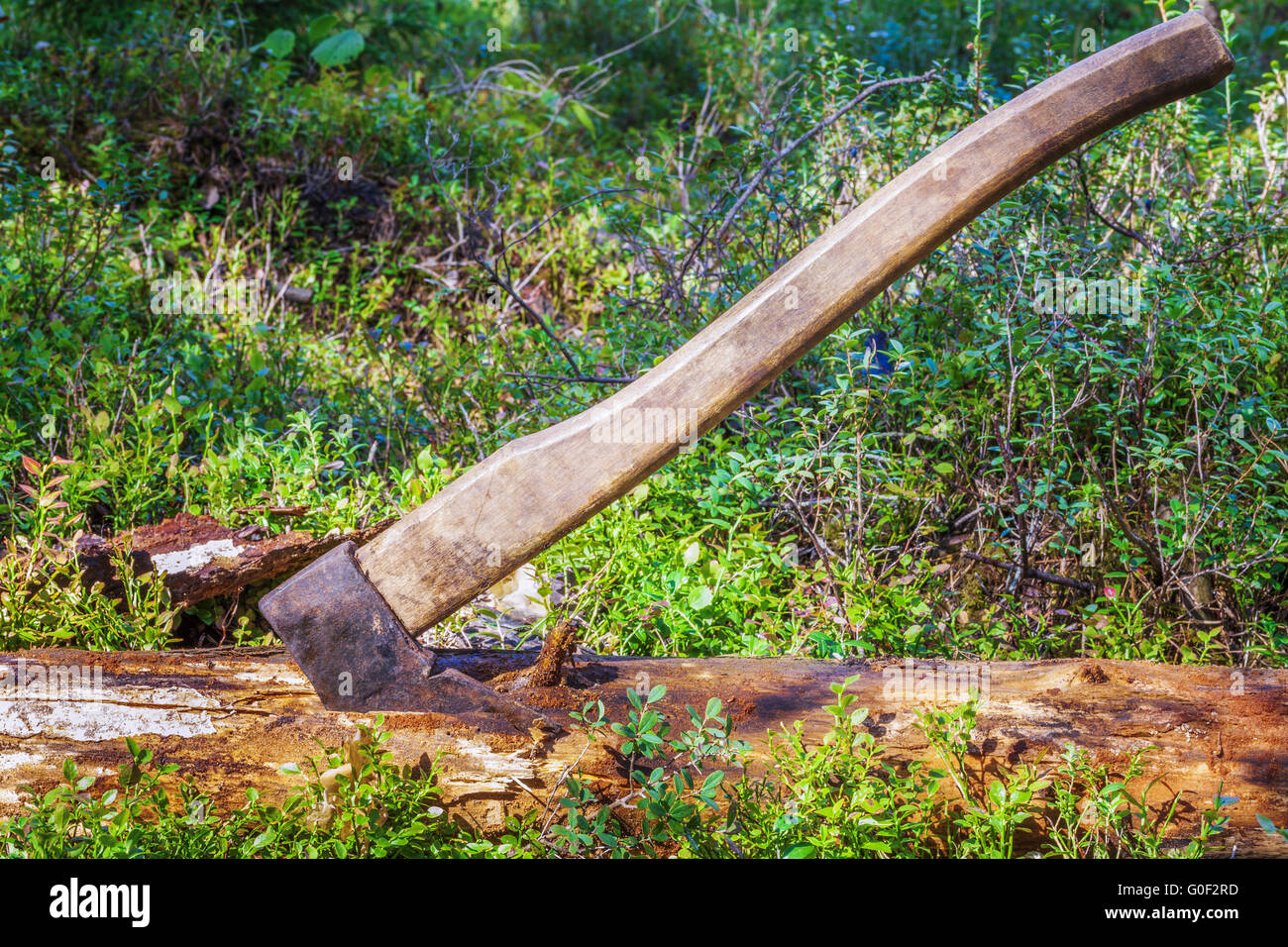 Ax carved in old log in the forest Stock Photo - Alamy