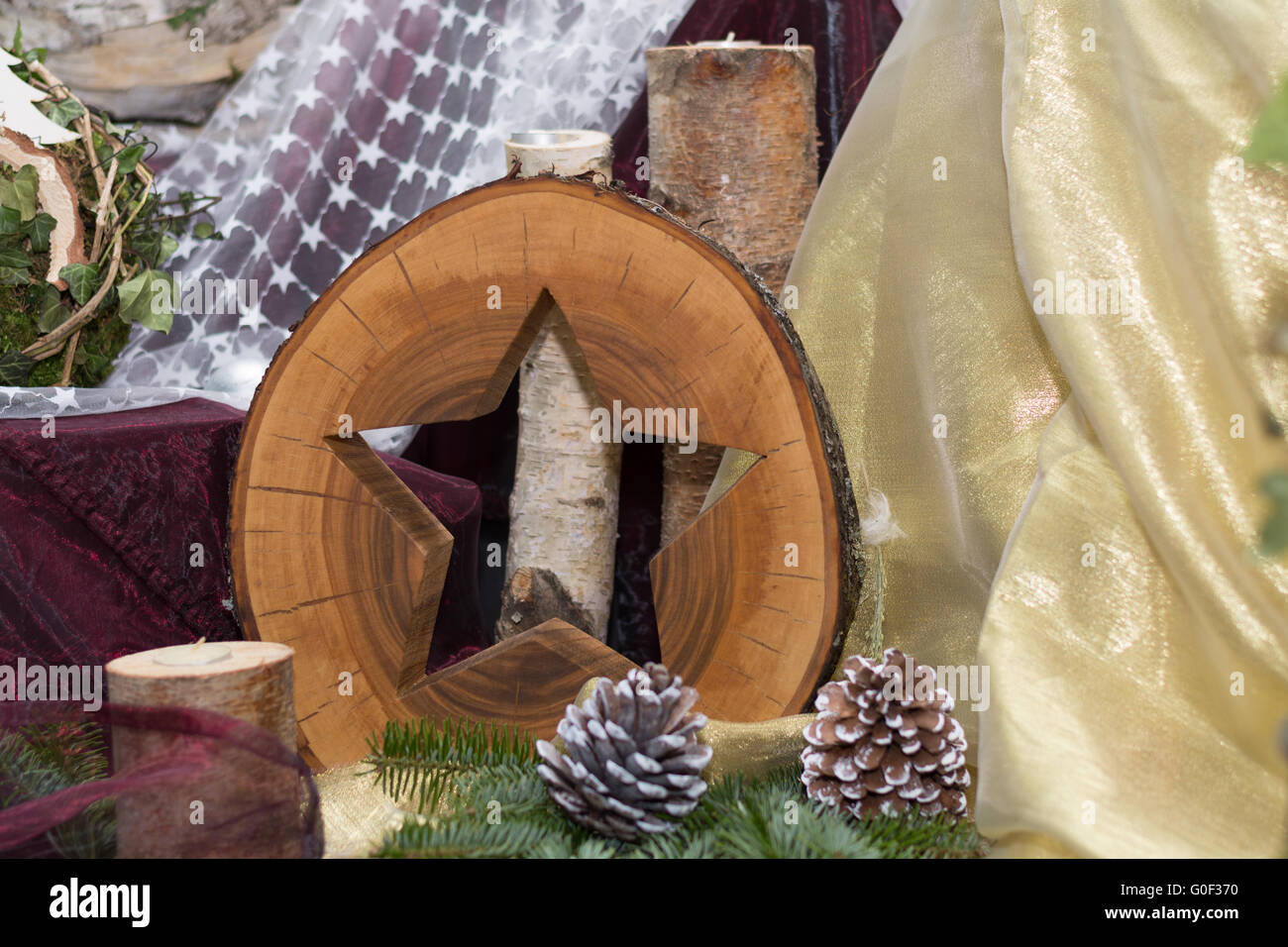 Christmassy star from tree trunk Stock Photo - Alamy