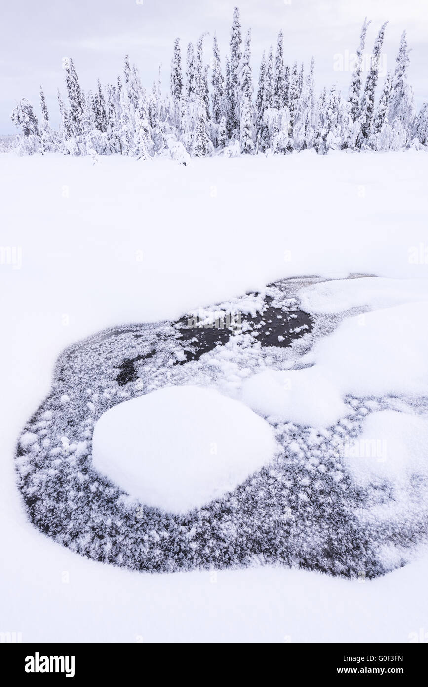 wintery swamp landscape, Lapland, Sweden Stock Photo - Alamy