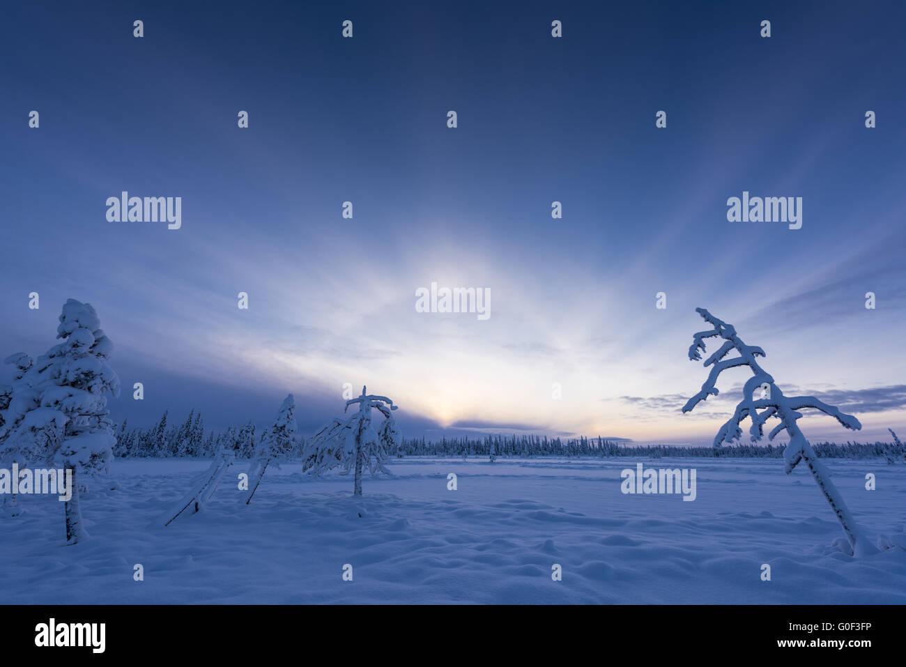 wintery swamp landscape, Lapland, Sweden Stock Photo - Alamy