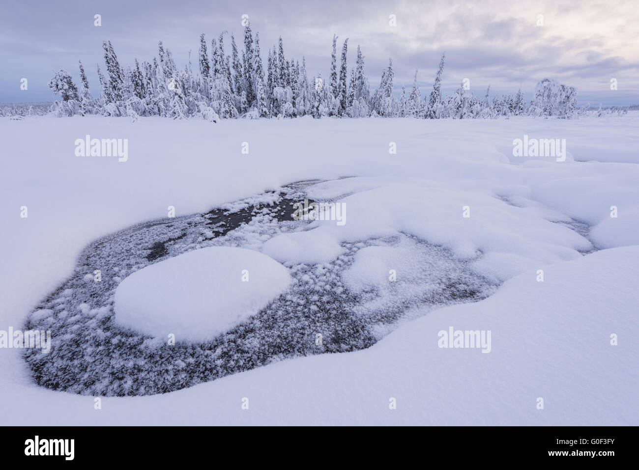 wintery swamp landscape, Lapland, Sweden Stock Photo - Alamy
