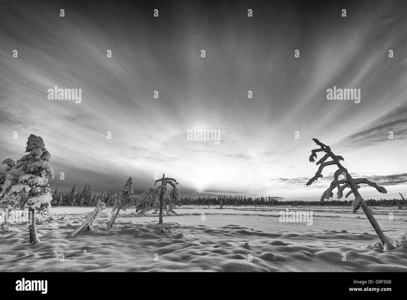 wintery swamp landscape, Lapland, Sweden Stock Photo - Alamy