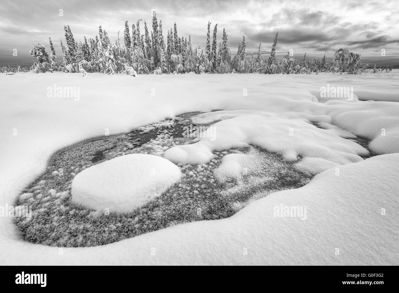 wintery swamp landscape, Lapland, Sweden Stock Photo - Alamy
