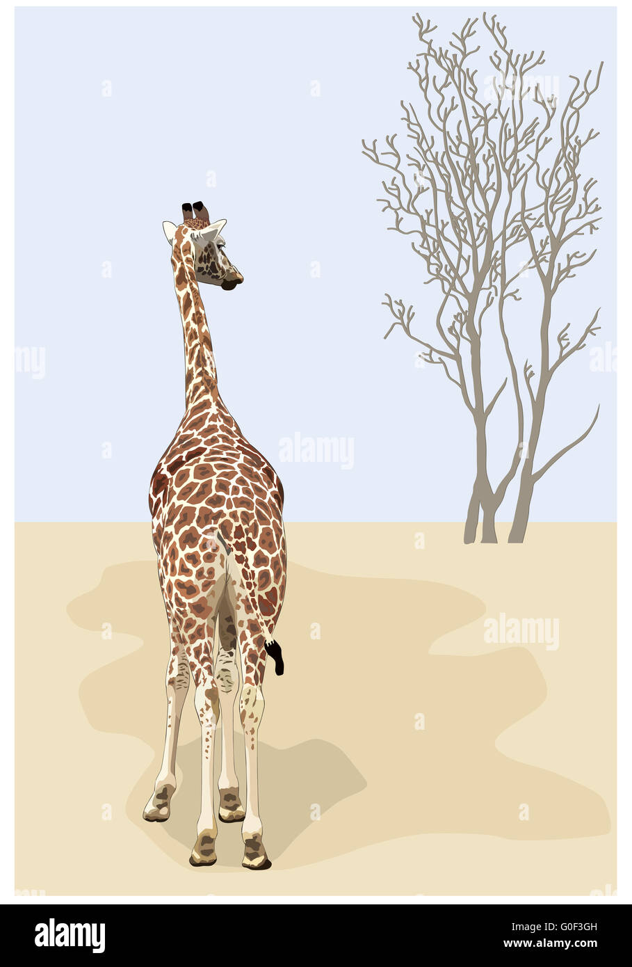 Beautiful giraffe looks at dry tree in the desert Stock Photo - Alamy