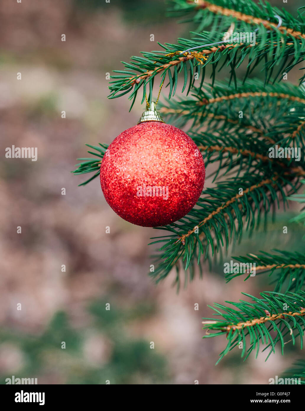 Pine needle ball hi-res stock photography and images - Alamy