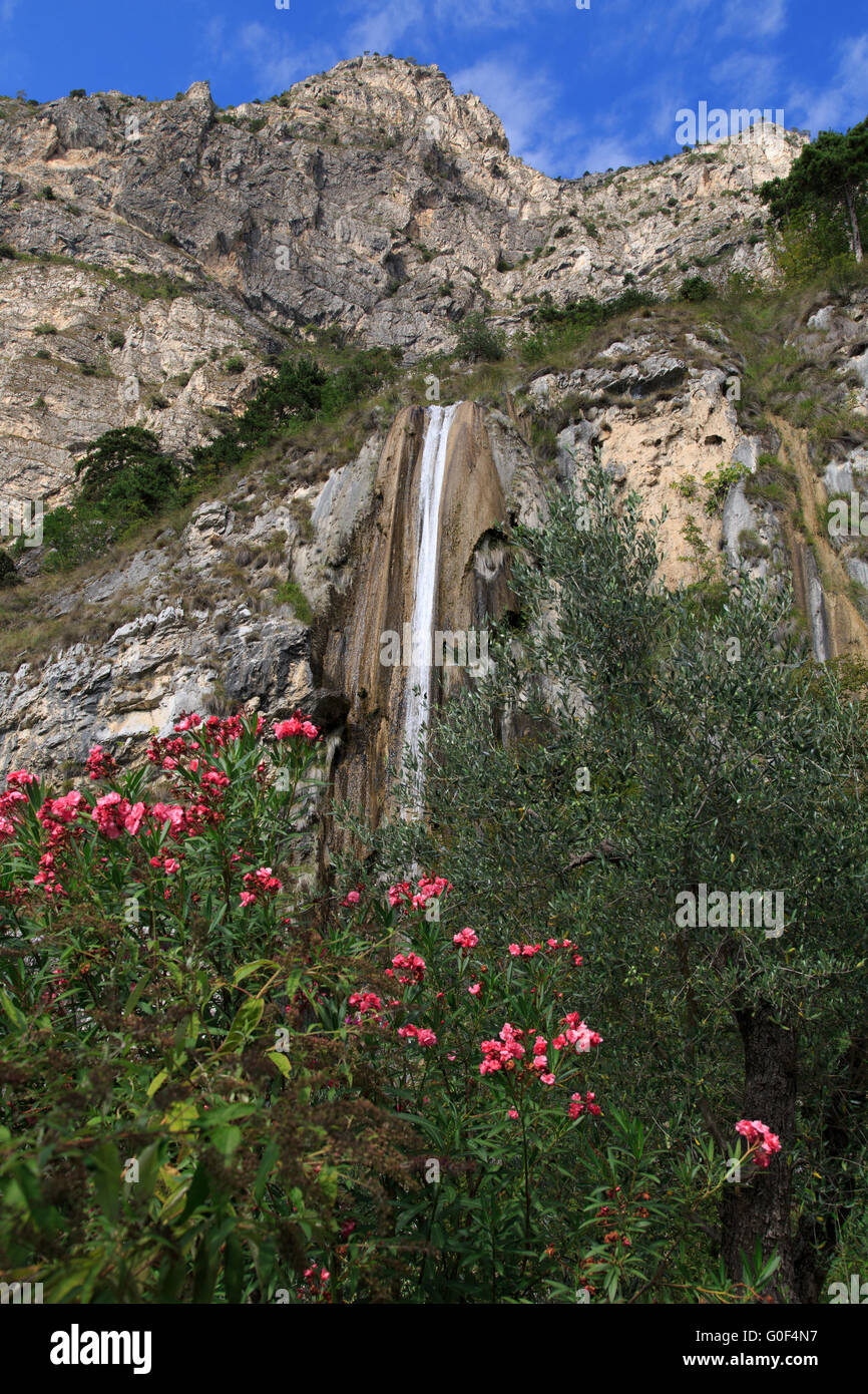 Beck italien hi-res stock photography and images - Alamy